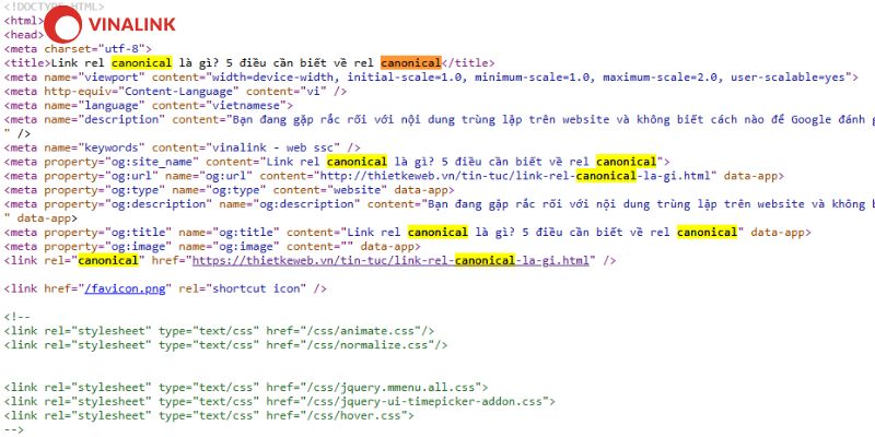 Link rel canonical là gì? 5 điều cần biết về rel canonical